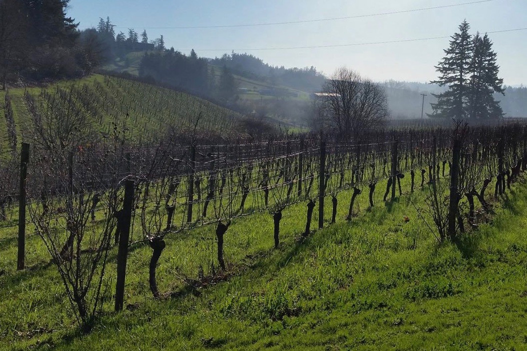 2019 | Happy B Corp Month! - Chehalem Winery