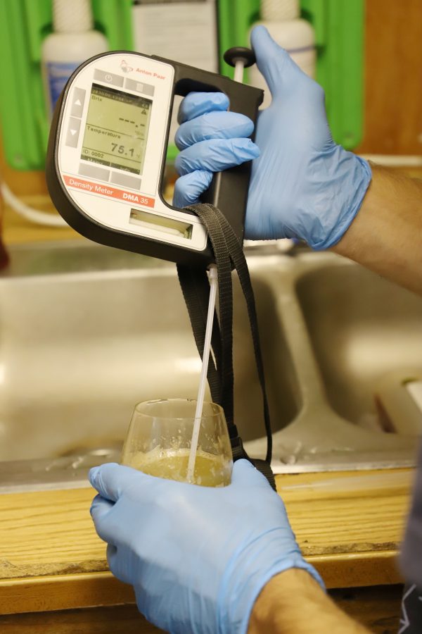Wine Grape Sampling | Getting Ready for Harvest 2019 - Chehalem Winery