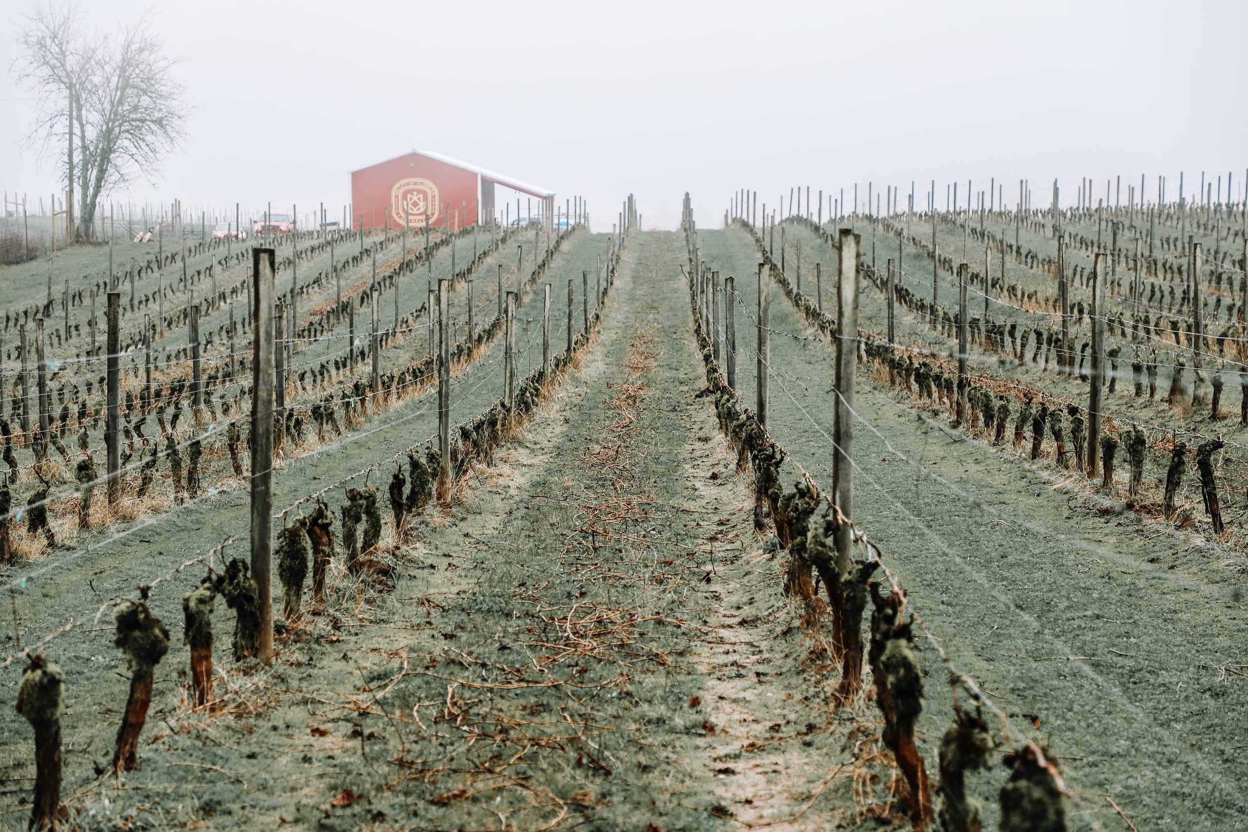 Winter at the Winery - Chehalem Winery