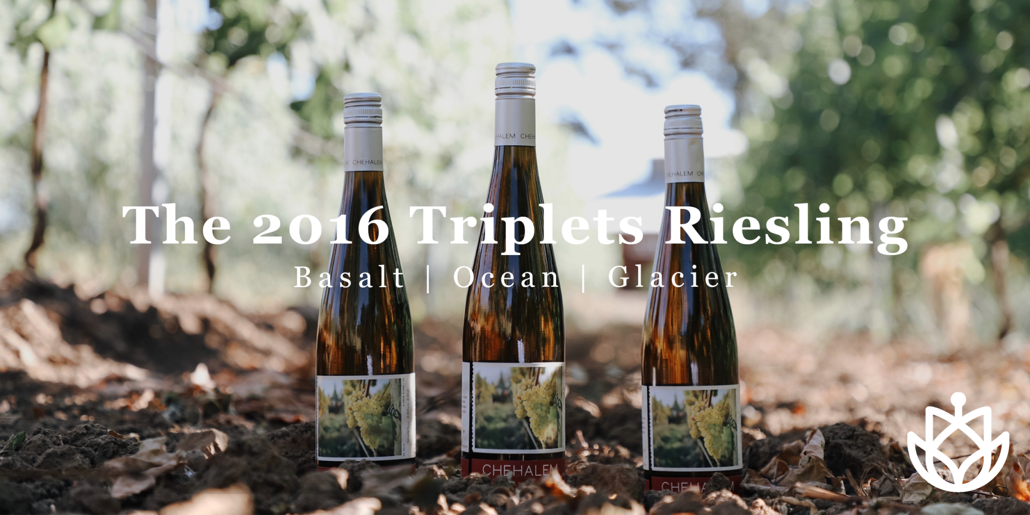 The Three Soils of the Chehalem Mountains AVA - Chehalem Winery