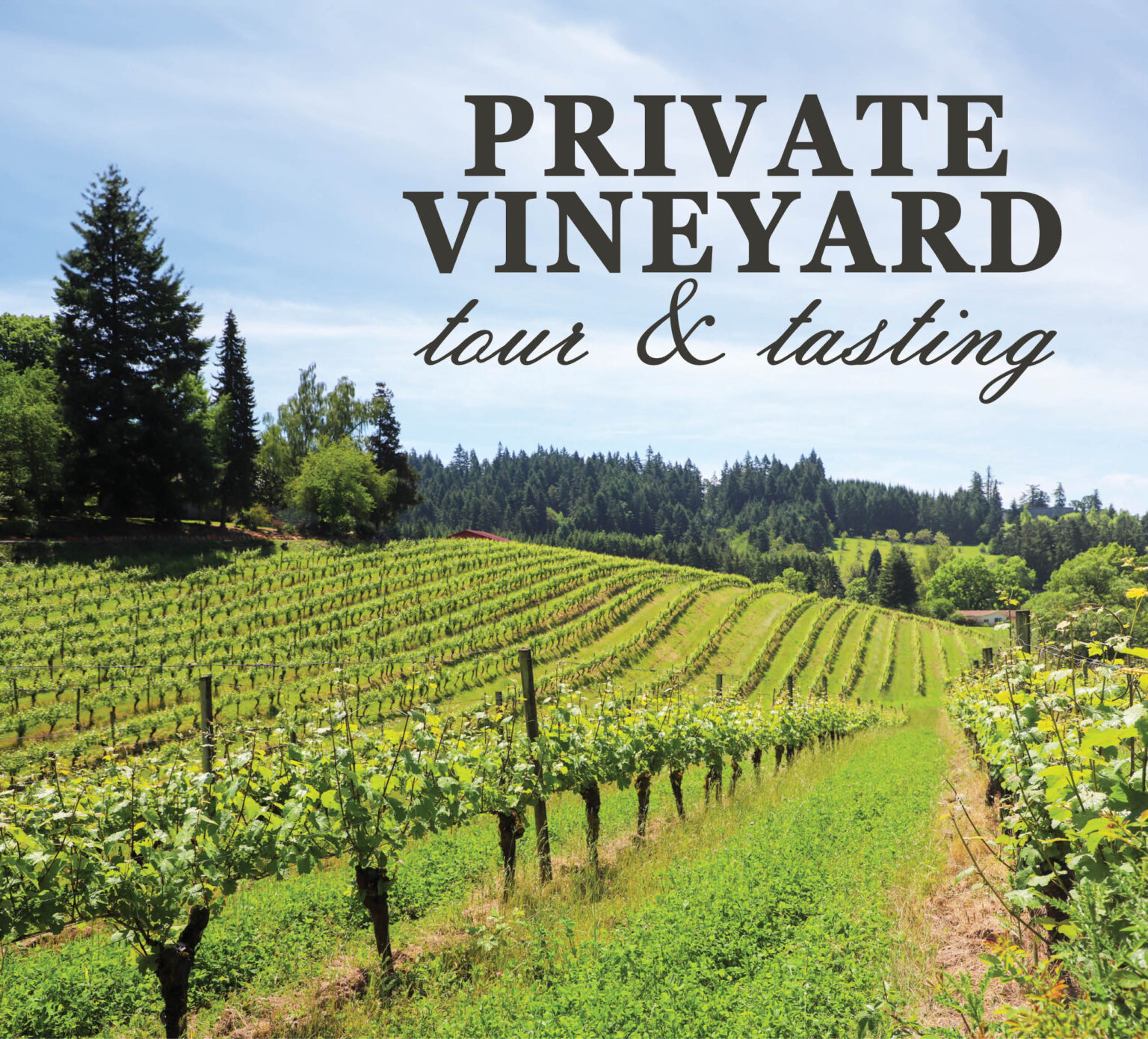 Tasting Experiences - Chehalem Winery